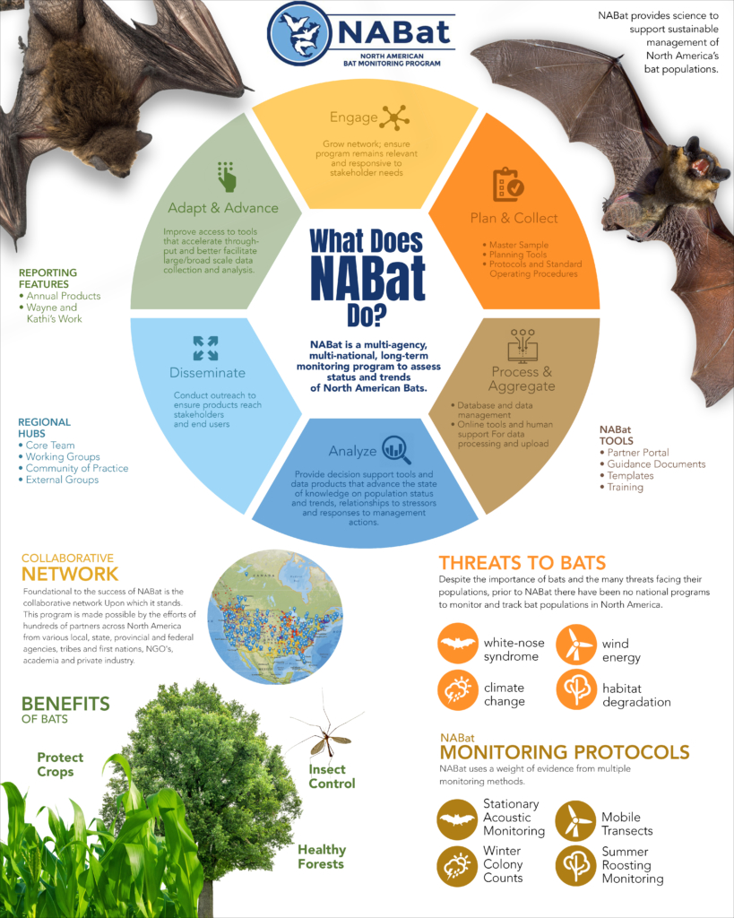 North American Bat Monitoring Program – CryBaby Design